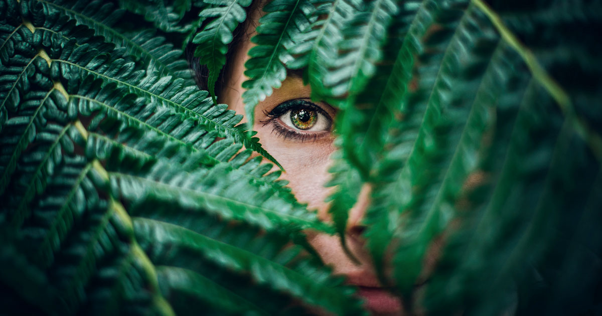 Iridologie : les yeux messagers de nos émotions - PBE